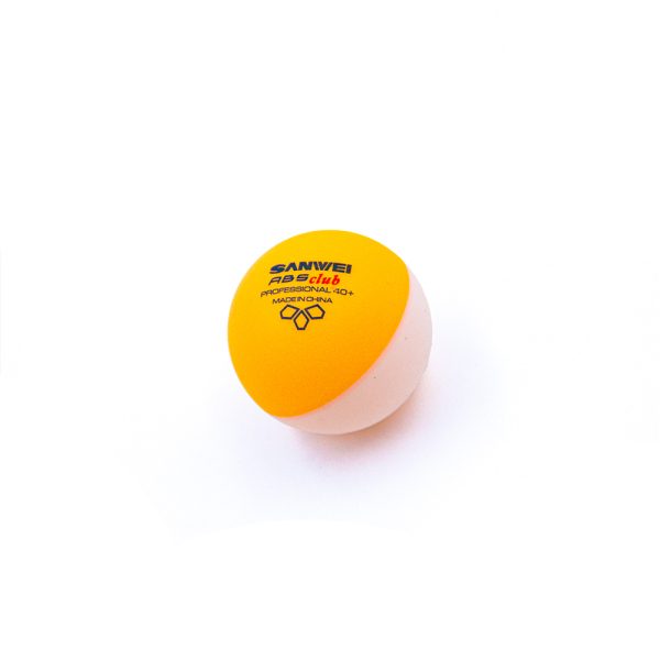 SANWEI 1 Star Bi-Color Training Balls - SANWEI Sport